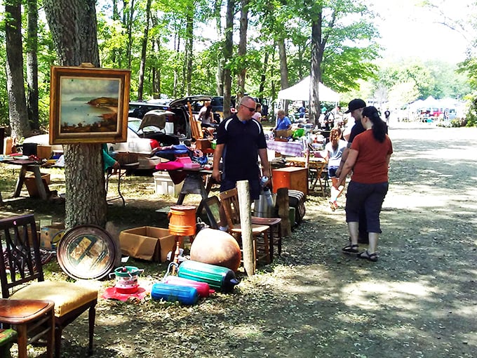 Night falls, but the fun's just beginning at Mansfield. From flea market finds to silver screen dreams, it's a double feature of delight!
