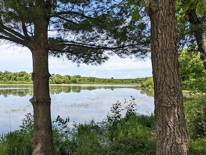 Liquid gold: This sun-kissed lake is Mother Nature's way of saying, "Hey, I can do special effects too!"