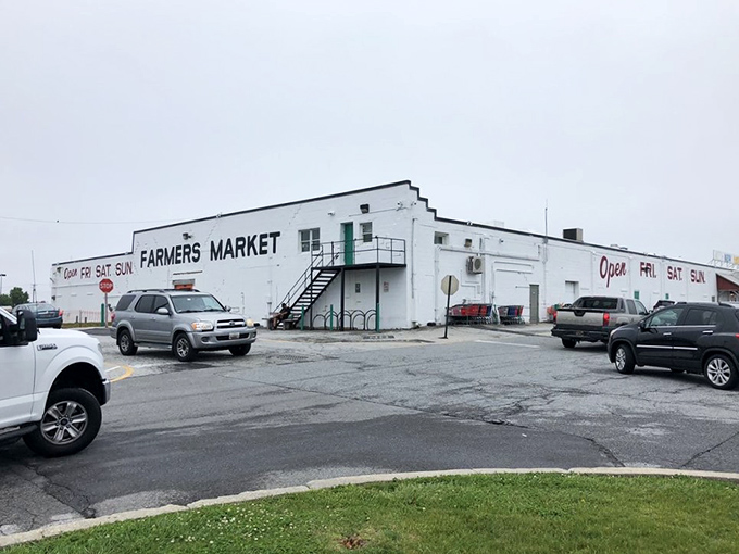Part farmers market, part treasure trove—this white-walled wonder is where your grocery list meets your wildest vintage dreams.