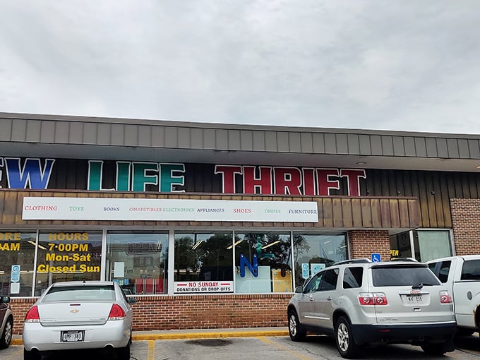 Bookworm's delight! These shelves are a literary buffet, offering everything from dog-eared classics to forgotten bestsellers.