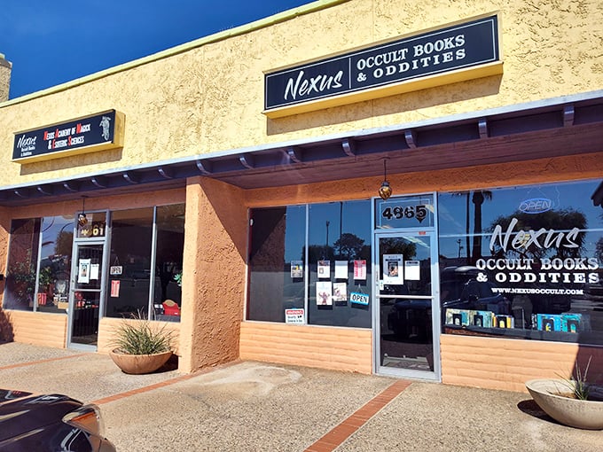 Step into Nexus, and you might just find the perfect spell to finally organize that junk drawer. Just don't accidentally summon any ancient spirits!