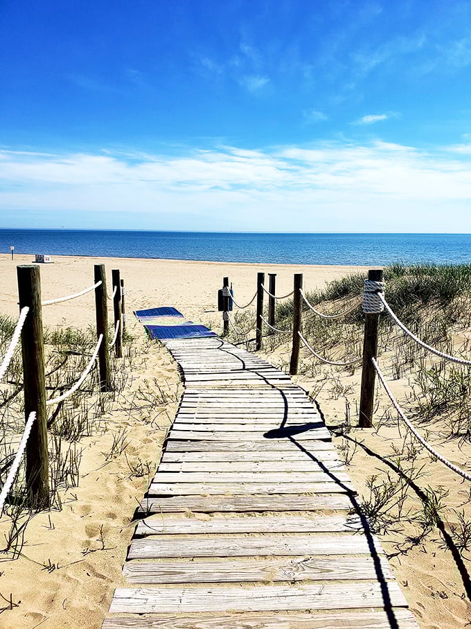 Sunsets here are better than any Netflix series finale. Lake Michigan knows how to put on a show!