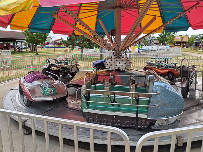 "Hop aboard this whimsical whirligig! It's like taking a spin through a Norman Rockwell painting &ndash; if Norman had a thing for carousels."