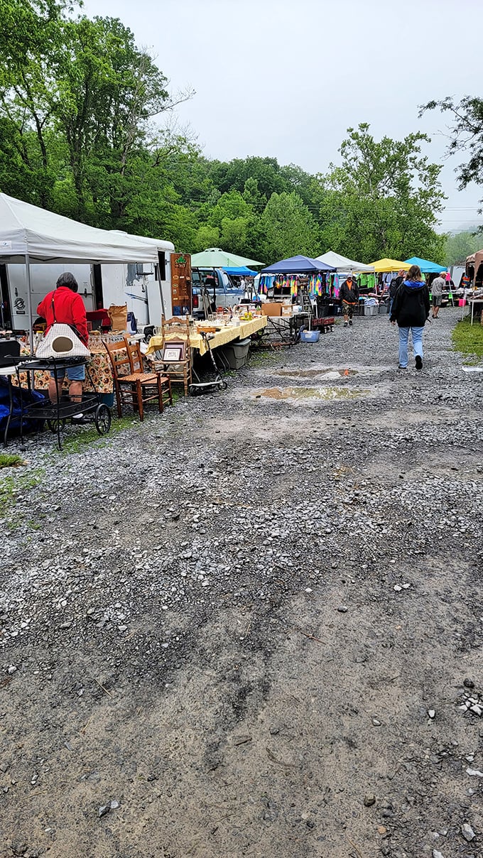 Tents, tables, and temptations as far as the eye can see. It's like a carnival for your wallet, minus the cotton candy.