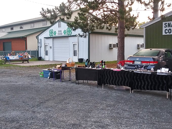 Small town charm meets big-time bargains! Pine City Flea Market: where every item has a story, and you might leave with more than you bargained for.