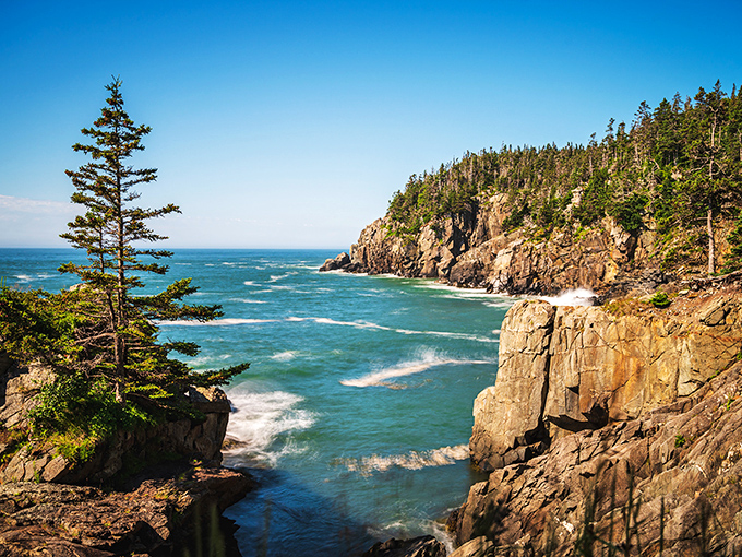 Quoddy Head's rugged cliffs: Mother Nature's version of a blockbuster movie set. No CGI required here, folks!