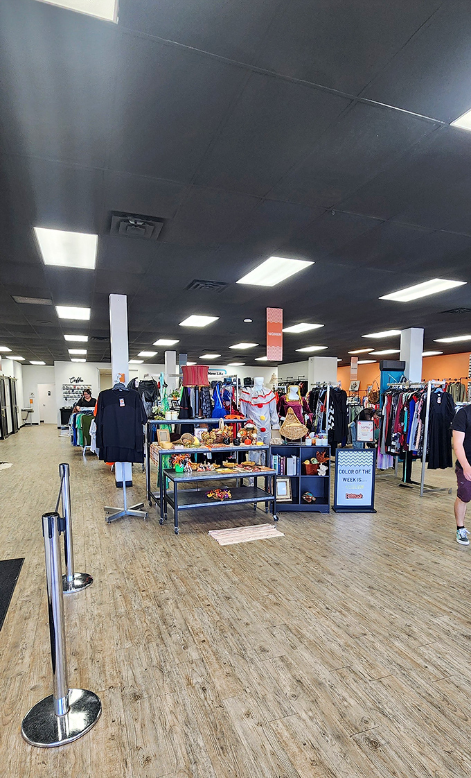 Step into a kaleidoscope of secondhand wonders. Retreads is where your inner treasure hunter comes alive!