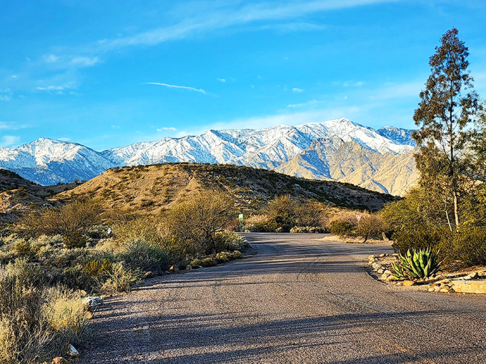 A desert oasis that's more refreshing than finding the last popsicle in the freezer on a hot day.