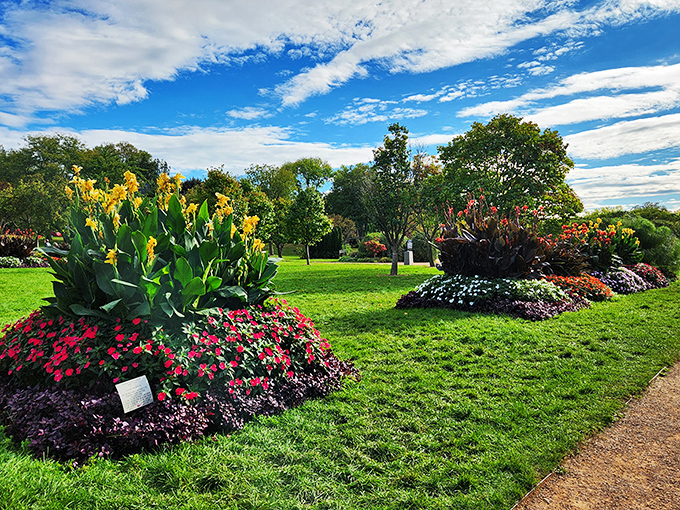 Roses are red, violets are blue&hellip; but at Lyndale Park, they come in every hue! A rainbow you can smell &ndash; take that, Skittles!