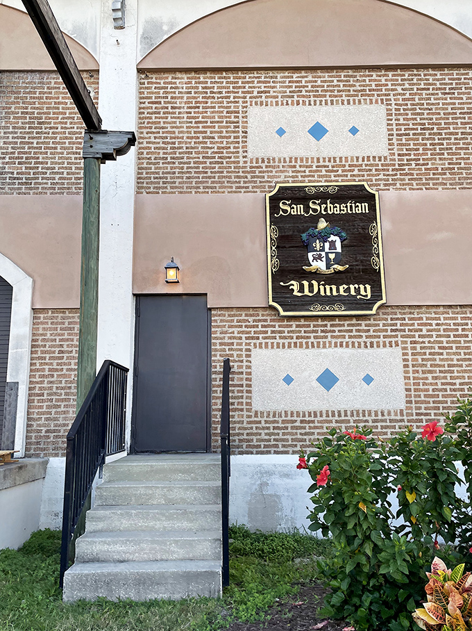 Forget the Fountain of Youth &ndash; San Sebastian's rooftop bar is where you'll find the real magic of St. Augustine.