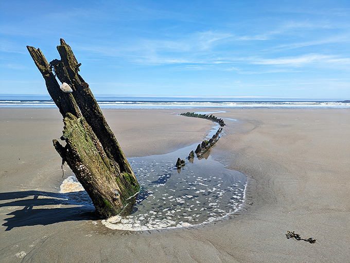 Sand so pristine, you'll feel guilty leaving footprints. It's like walking on nature's freshly vacuumed carpet.