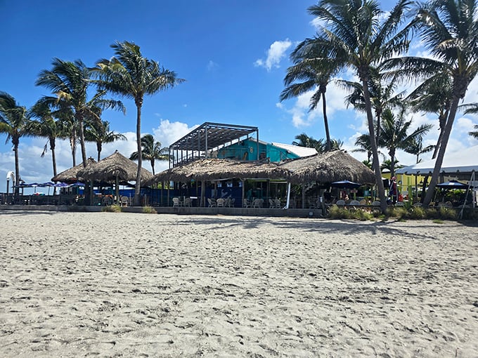 Surf, turf, and endless sky: Sharky's serves up Florida on a platter, with a generous helping of Gulf views.