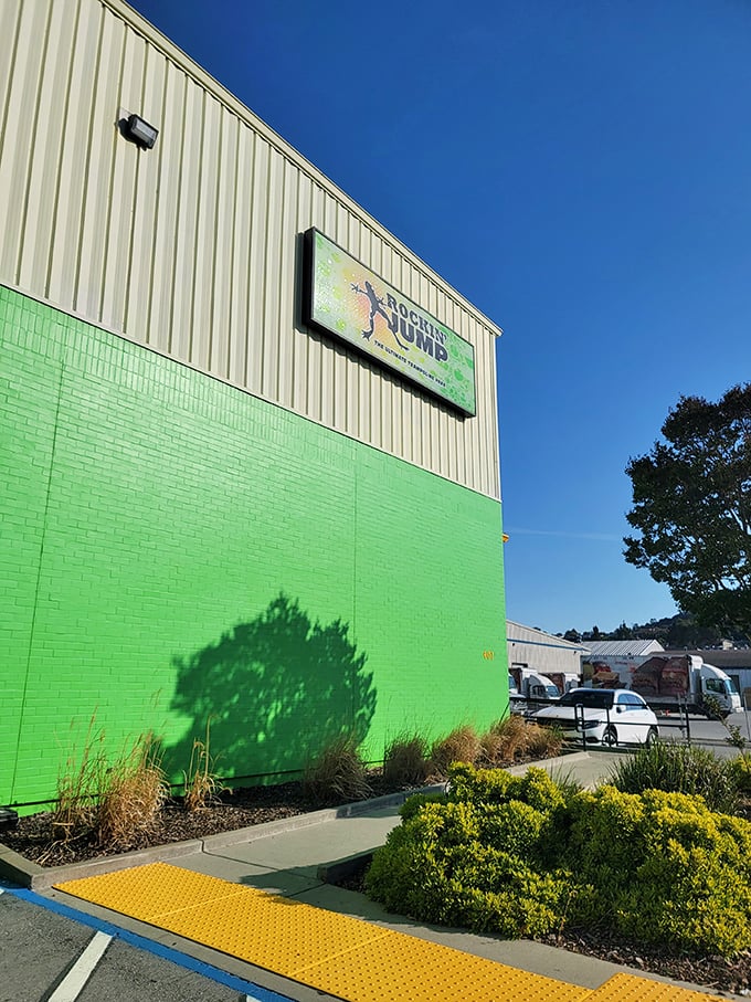 Forget moonwalking, at Sky Zone you can moon-jump! It's one small step for kids, one giant leap for playground-kind.