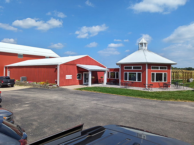 Green grass, blue skies, and purple grapes! Staller Estate's outdoor seating area is Mother Nature's way of saying "Cheers!"