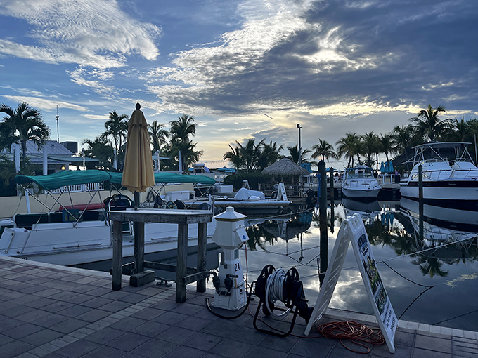 Boats, brews, and views that could make a pelican pause mid-dive. Lorelei's waterfront magic is the stuff Jimmy Buffett dreams about.
