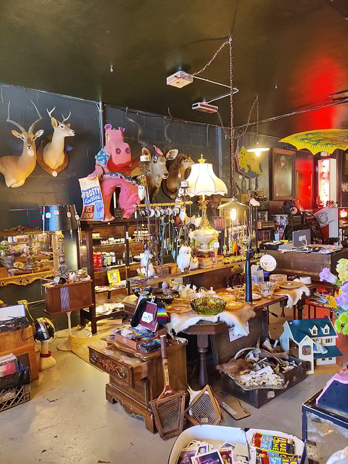 Retro chic meets nature's oddities in this wonderland of weird. It's like your eccentric aunt's attic, but with better lighting and less dust.