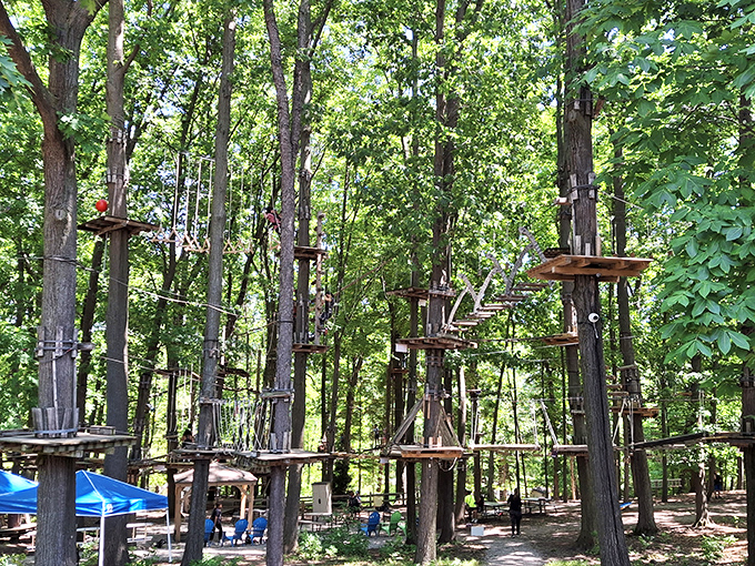 Who needs the gym when you can monkey around here? Just remember, gravity always wins in the end!