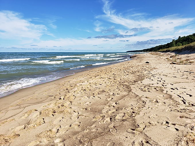 Surf's up in the Midwest! Warren Dunes proves you don't need an ocean to catch some gnarly waves and epic views.