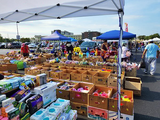 Rosemont's weekend wonderland! Wolff's transforms this parking lot into a bazaar that would make Aladdin say, "Now that's a whole new world!"