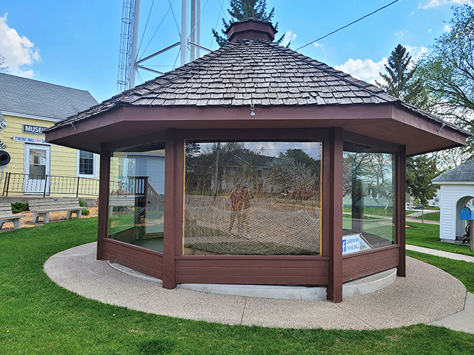 This mammoth sphere of string has been growing since 1950. Talk about a long-term relationship with twine!