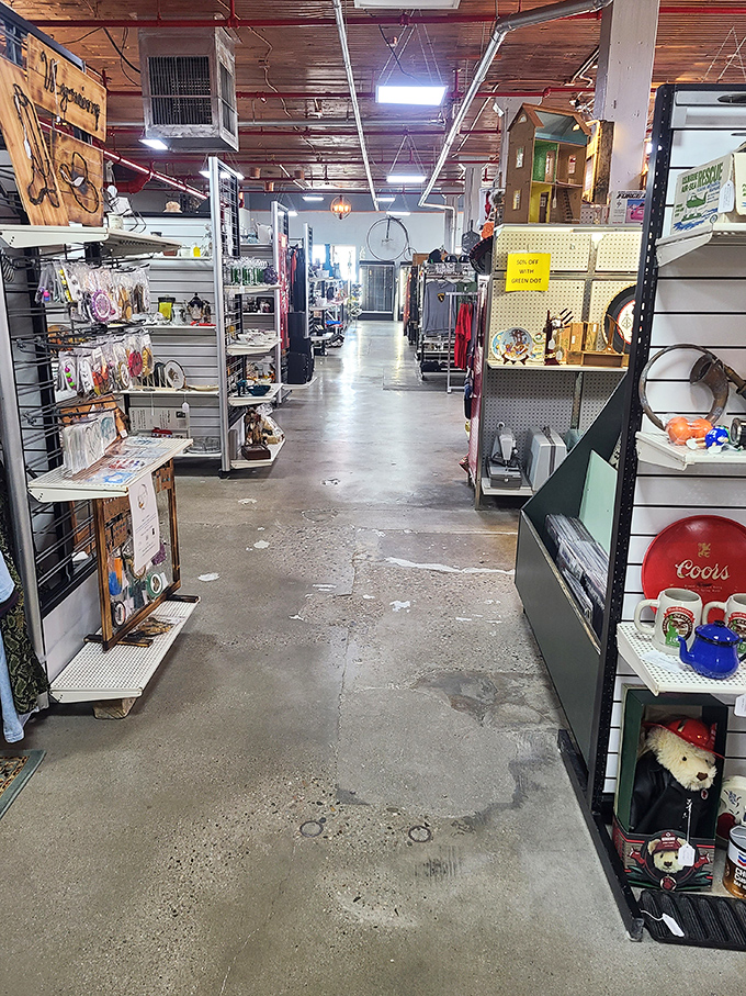 Aisle after aisle of wonder! This treasure trove is packed tighter than a cowboy's saddlebag, offering everything from vintage vinyl to quirky knick-knacks.