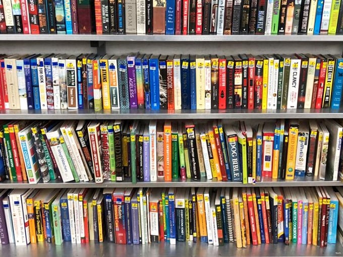 Bookworms, prepare to get lost in literary heaven! This shelf is like a library where all the books decided to throw a party and invited you as the guest of honor.