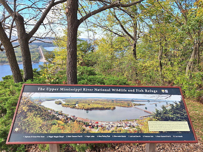 Buena Vista Park: Where the view is so good, you'll swear you're looking at a screensaver. Mother Nature's own IMAX theater, no 3D glasses required!