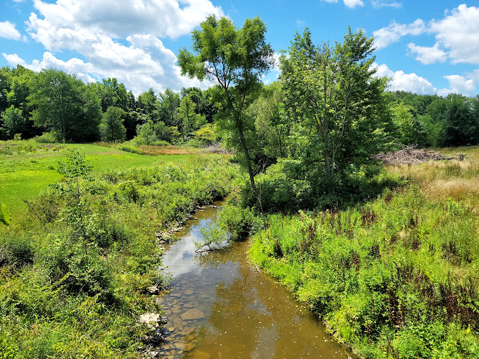 "Creek dreams and ripple rhythms." If this serene stream had a soundtrack, it'd be a mash-up of babbling brooks and zen meditation apps.