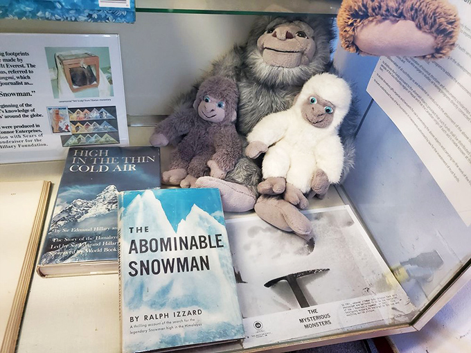 Even Bigfoot needs cuddle buddies! These plush pals are ready for a cryptid slumber party in the heart of redwood country.