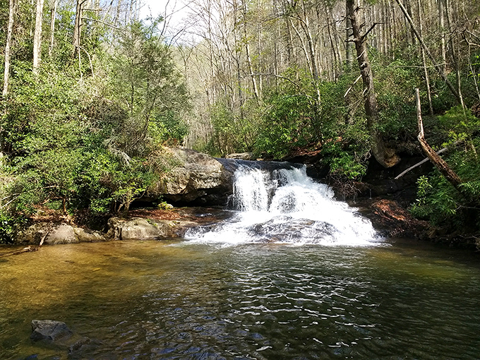 Mother Nature's own water park! This cascade is proof that not all the best shows are on Netflix. Grab a seat; the performance is free!