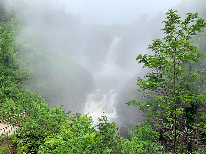 Misty morning magic: When the fog rolls in, High Falls becomes a mystical veil. It's like stepping into a fantasy novel!