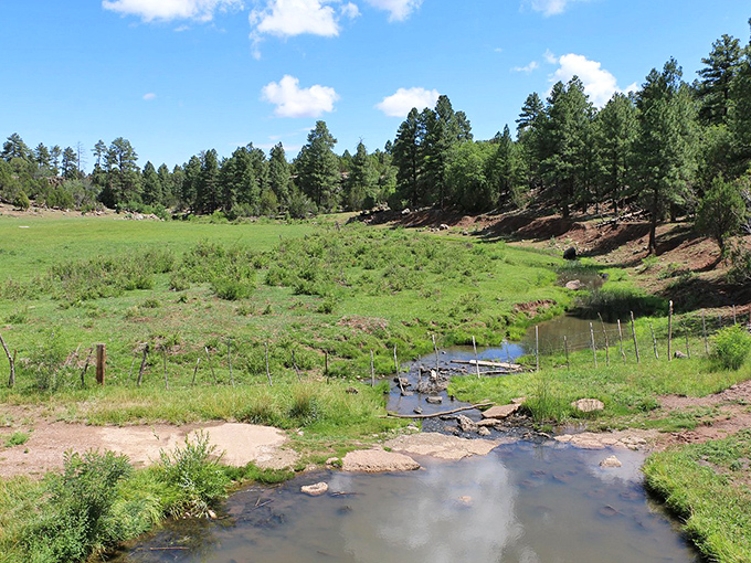 Fifty shades of green! This lush landscape is Mother Nature's way of saying, "Take that, desert stereotypes!"