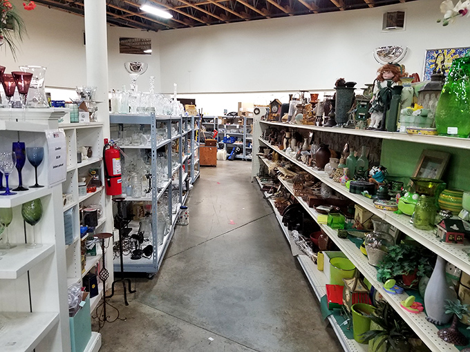 Glassware and collectibles line these shelves like a museum of memories, each piece waiting to start its second chapter.