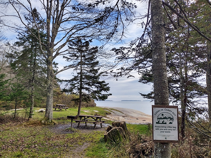 Picnic with a view! These tables aren't just for lunch; they're front-row seats to nature's greatest show. Pass the lobster rolls, please!