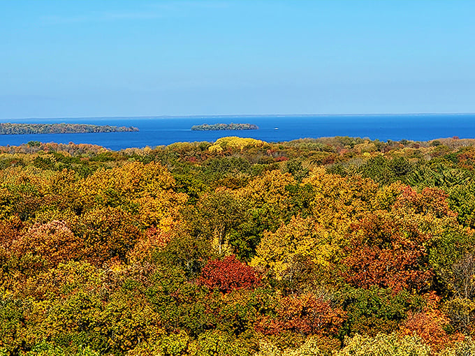 Talk about a bird's eye view! From up here, the autumn colors look like nature's own patchwork quilt. Grandma would be impressed.