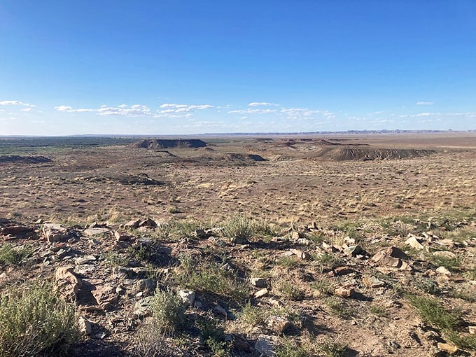 Vast desert vistas stretch as far as the eye can see. It's like Mother Nature's own IMAX screen, no 3D glasses required!