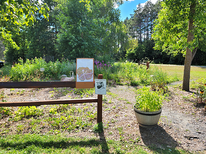 Nature's buffet is open for business! This pollinator garden is buzzing with more activity than a Minnesota potluck.