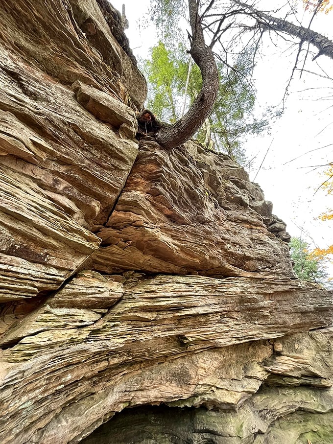 Mother Nature's art gallery: These layered rock formations tell a geological story millions of years in the making. No admission fee required!