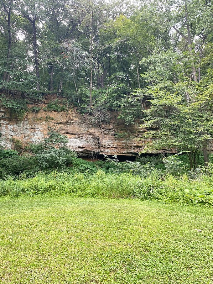 "Mother Nature's art gallery: no admission fee required." Towering rock formations create a natural amphitheater, perfect for impromptu geology lessons or daydreaming.