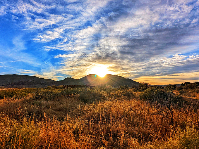 Nature's own light show! This sunset paints the sky like Bob Ross on a particularly inspired day.