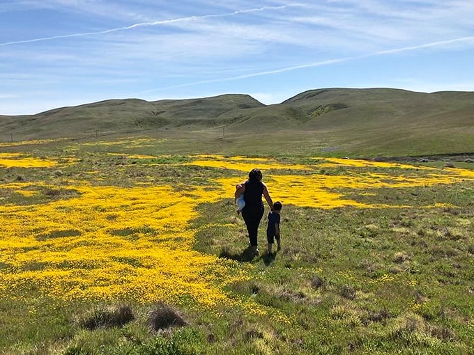 Family bonding, Carrizo-style. Who needs theme parks when you've got nature's own floral rollercoaster?