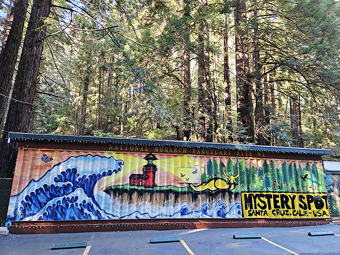 Surf's up... on the walls? This mural captures Santa Cruz's laid-back vibe with a twist of Mystery Spot magic.