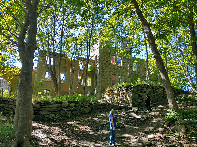 Peek-a-boo with the past! These walls have seen more drama than a Shakespeare festival. Now they're front-row seats to nature's grand performance.