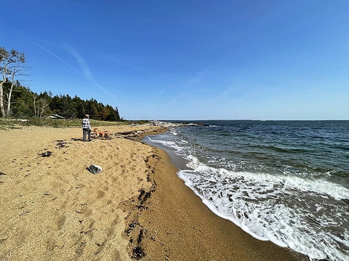 Beach bliss alert! This stretch of sand is so pristine, you'll feel guilty leaving footprints. Time to perfect your levitation skills!
