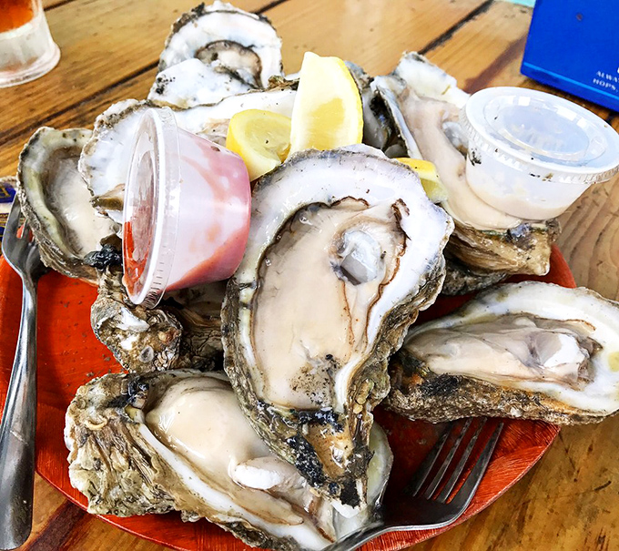 Oysters so plump, they could star in their own Marvel movie. These briny beauties are ready for their close-up &ndash; and your palate.