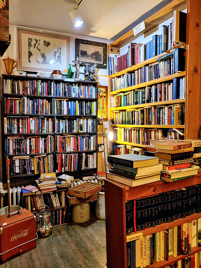 Forget Netflix – here's where the real binge-worthy content lives. Each shelf is a season, each book an episode waiting to be devoured.