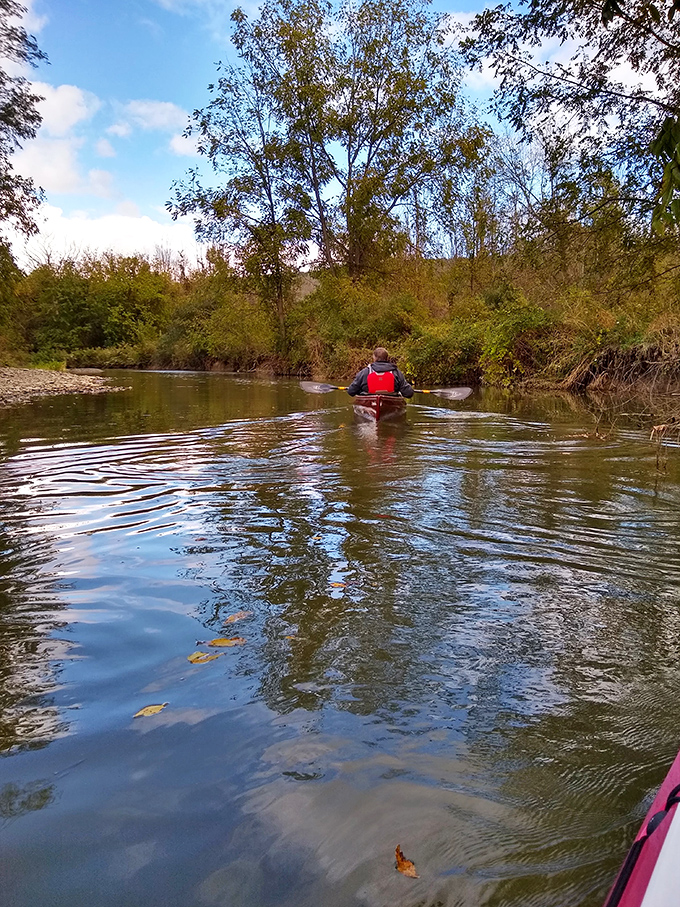 Paddle your way to serenity! This gentle stream is like nature's lazy river, minus the chlorine and screaming kids.