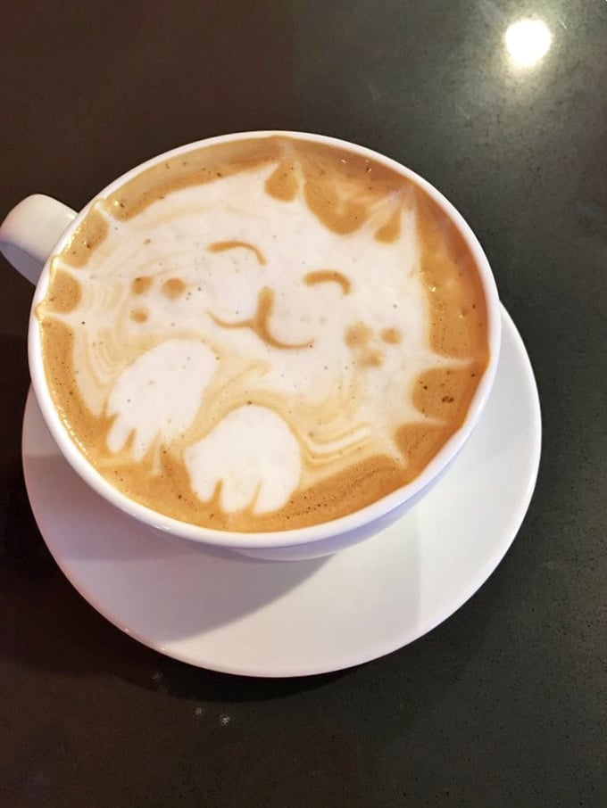 Latte art reaches new heights with this purr-fectly crafted catpuccino. It's almost too cute to drink... almost.