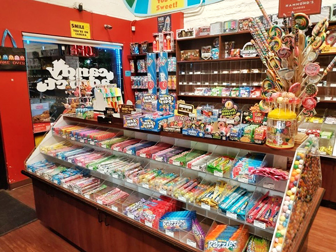 Nostalgia, now available in bite-sized pieces! These classic candies are like time machines, transporting you back to simpler times when your biggest worry was choosing between Twizzlers and Skittles.