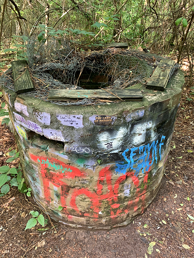 Well, well, well, what do we have here? This graffitied concrete cylinder could be a portal to the Upside Down or just Atlanta's quirkiest wishing well.
